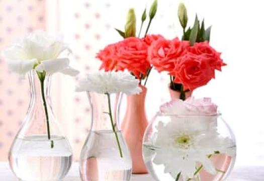 How to Clean Glass Vases with Salt and Vinegar | Merry Maids