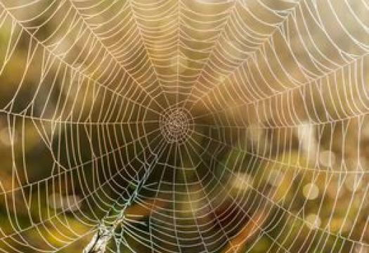 dusting the cobwebs off