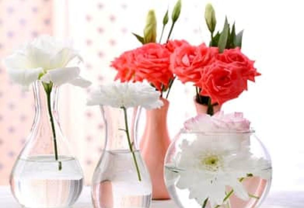 How to Clean Glass Vases with Salt and Vinegar | Merry Maids